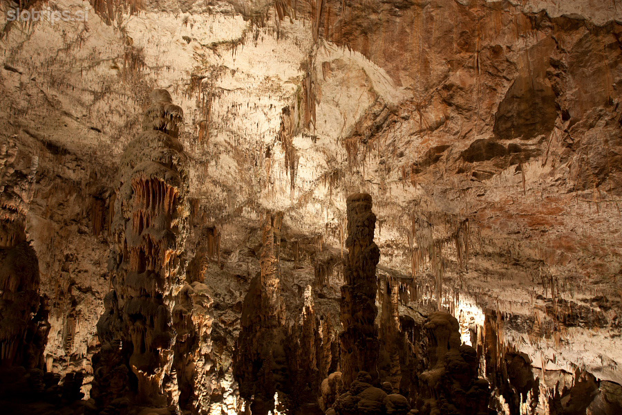Naravne znamenitosti: Postojnska jama - Raziščite Slovenijo